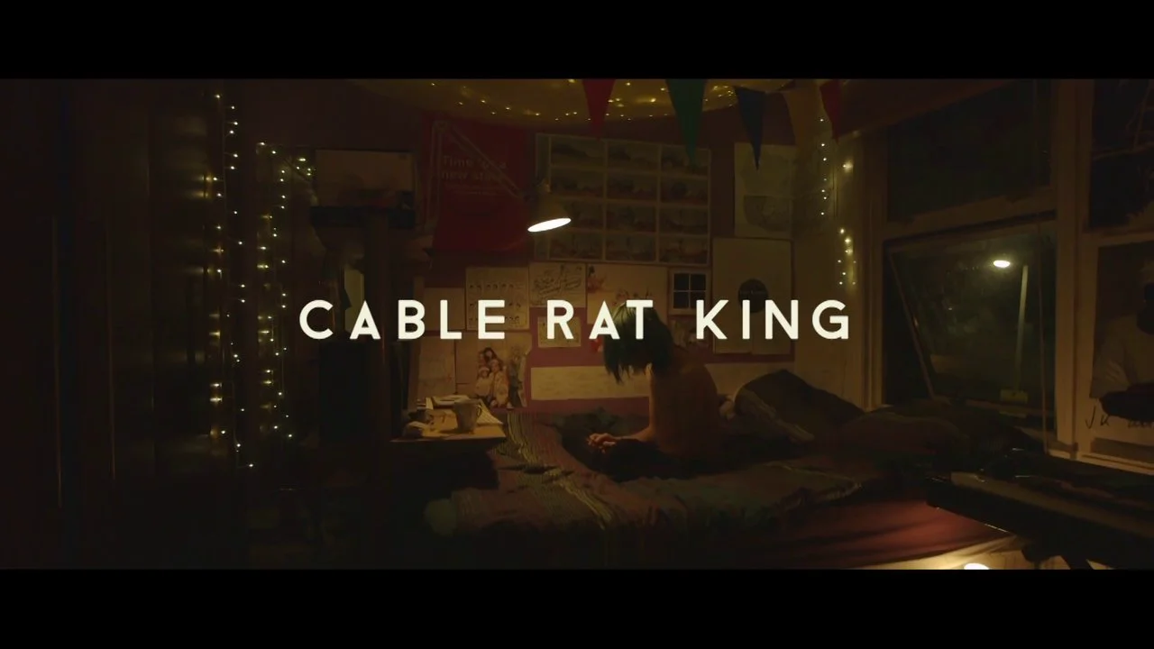 Tom Milsom - Cable Rat King on Vimeo