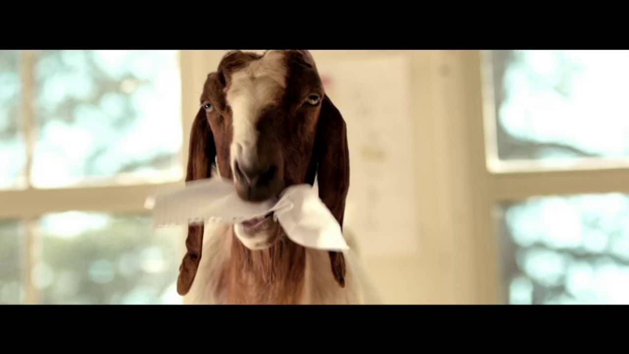 McDonald's - Live Goat 45 on Vimeo
