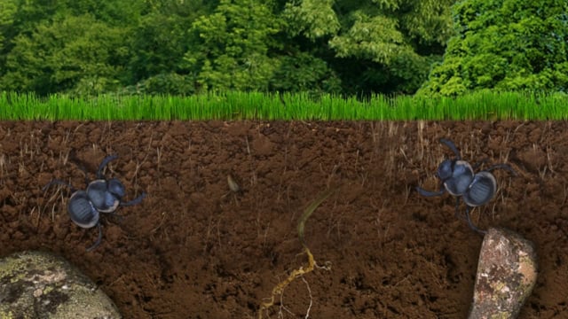 Sid the Science Kid (Season 1) Susie's Songs - "I Dig This Town" on Vimeo