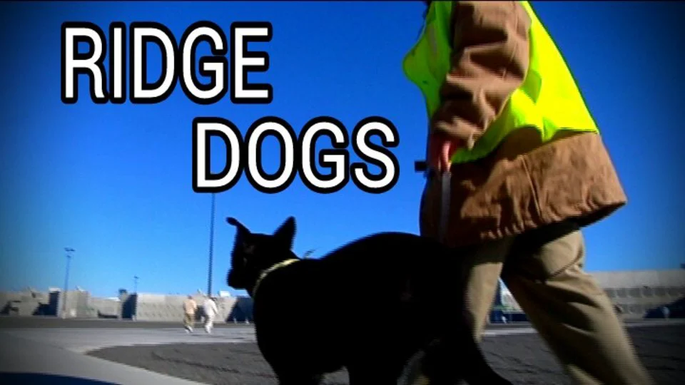 "Ridge Dogs" program at Coyote Ridge Corrections Center expands on Vimeo