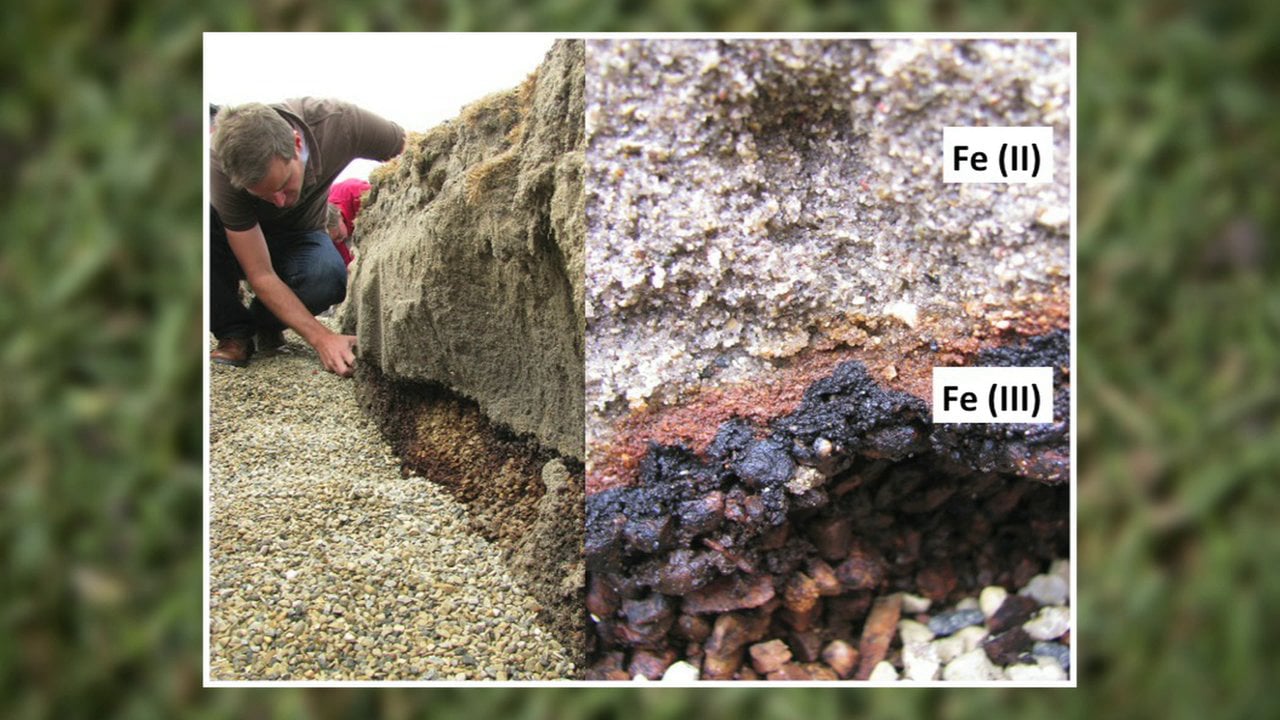 Back to School: Iron Layering in Sand-Based Putting Greens