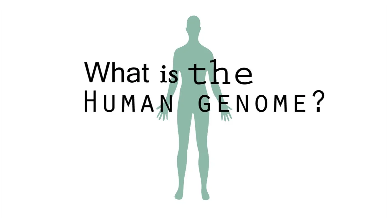 Introduction to Genomics 1.1: What is the human genome?