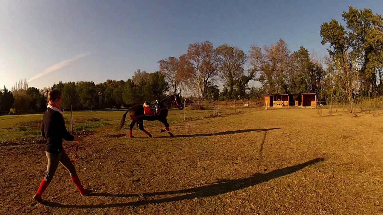 GoPro Horse Riding in Provence 2013 on Vimeo