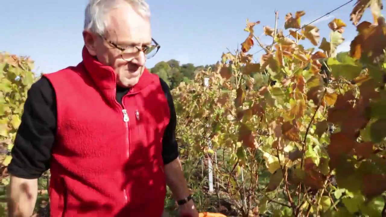 Stephen Skelton Camera Test on Vimeo