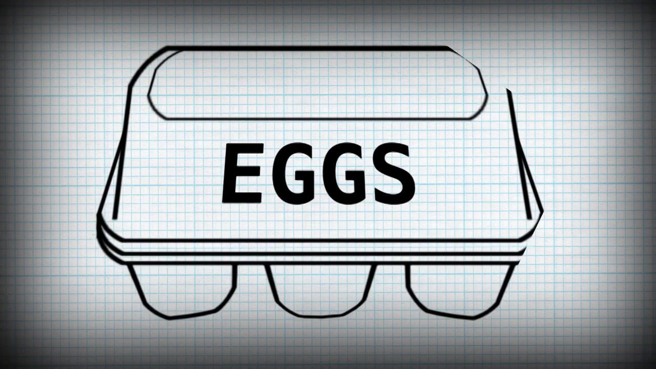 Egg Scan: Double-Yolk Egg Detector on Vimeo