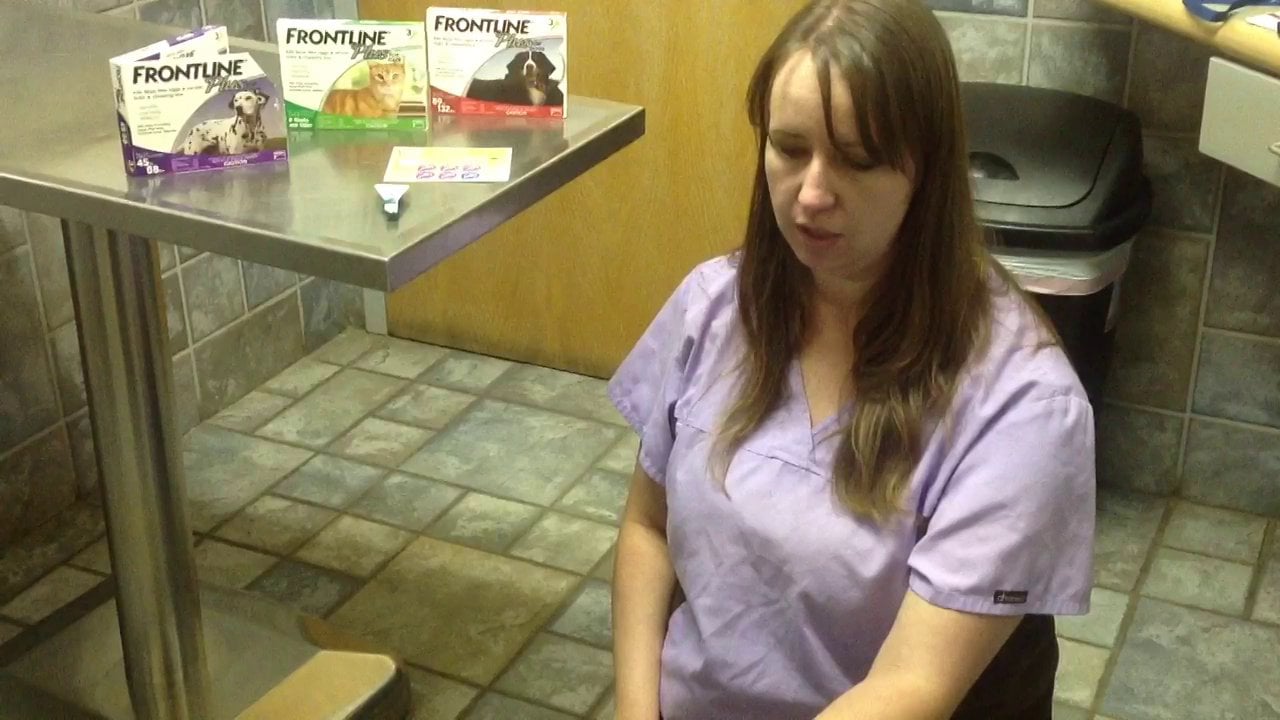 AMC How to apply Frontline on Vimeo