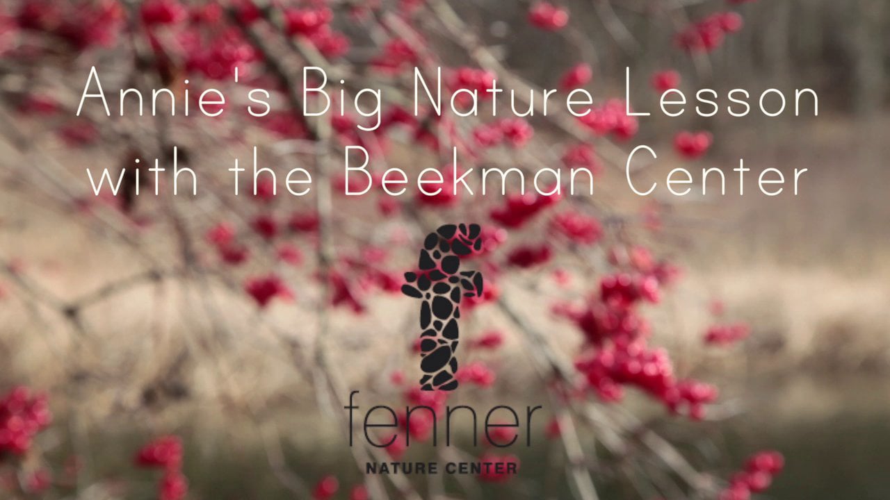 Annie's Big Nature Lesson at Fenner Nature Center on Vimeo