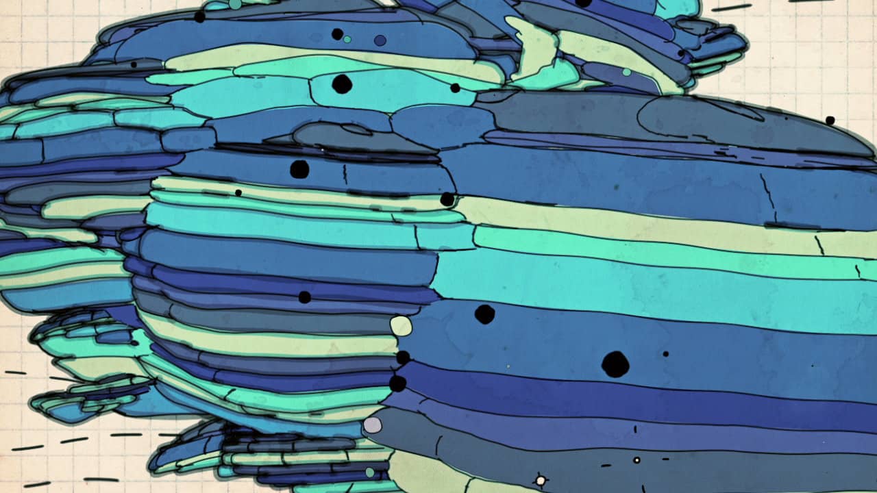 rainbee (loop) on Vimeo