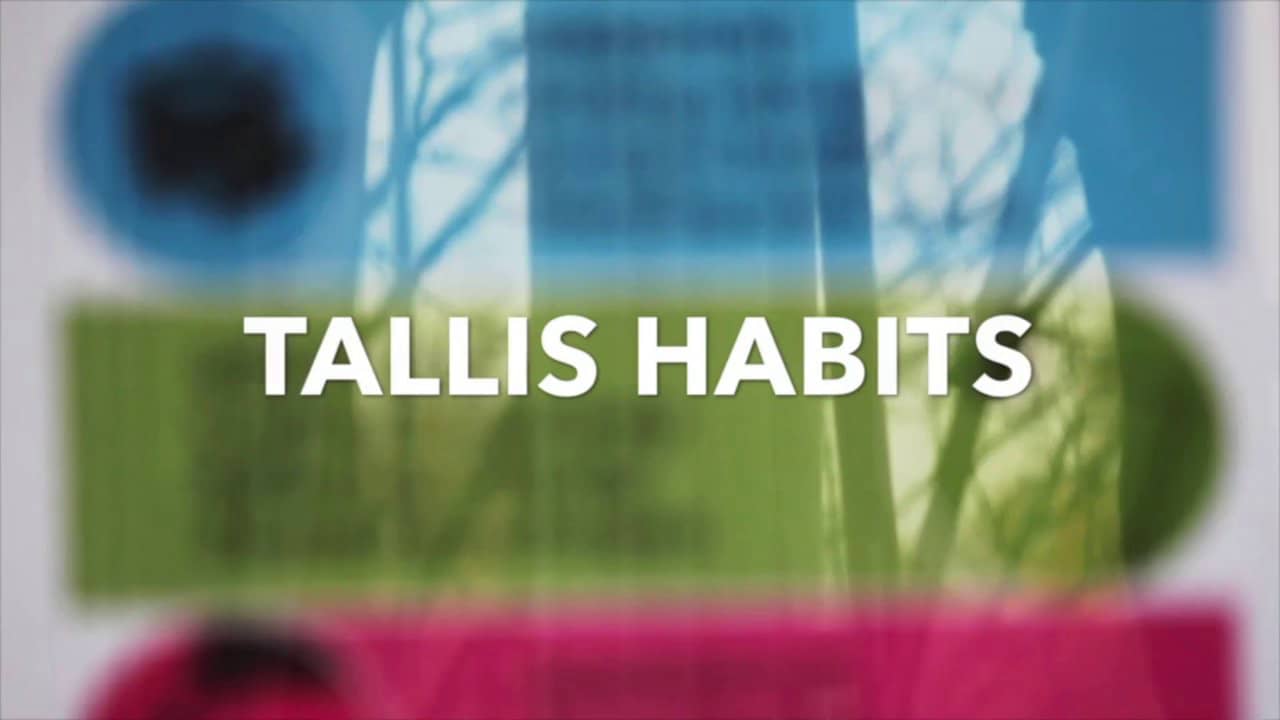 Tallis Habits on Vimeo