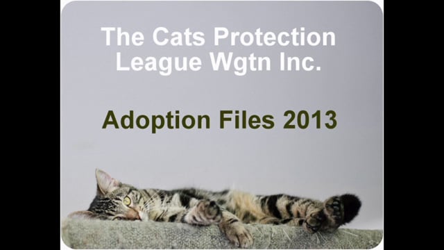The Cats Protection League Wgtn Inc. on Vimeo