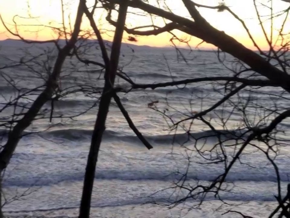 frigid air stand up freezer hi def on Vimeo