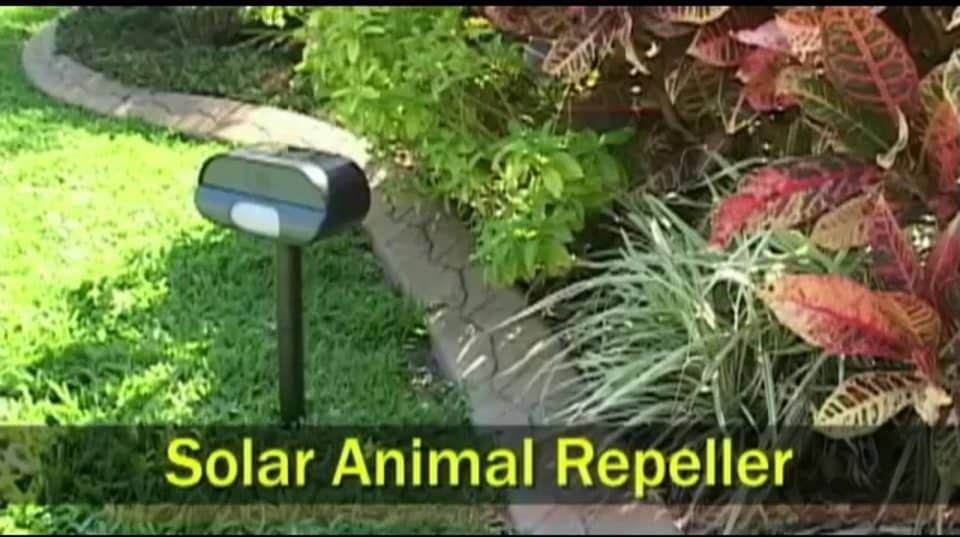 Solar Animal Repeller on Vimeo