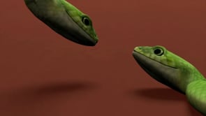 Artist: Christal Kuna Title: “Bird Brained”... - Art &Technology ...