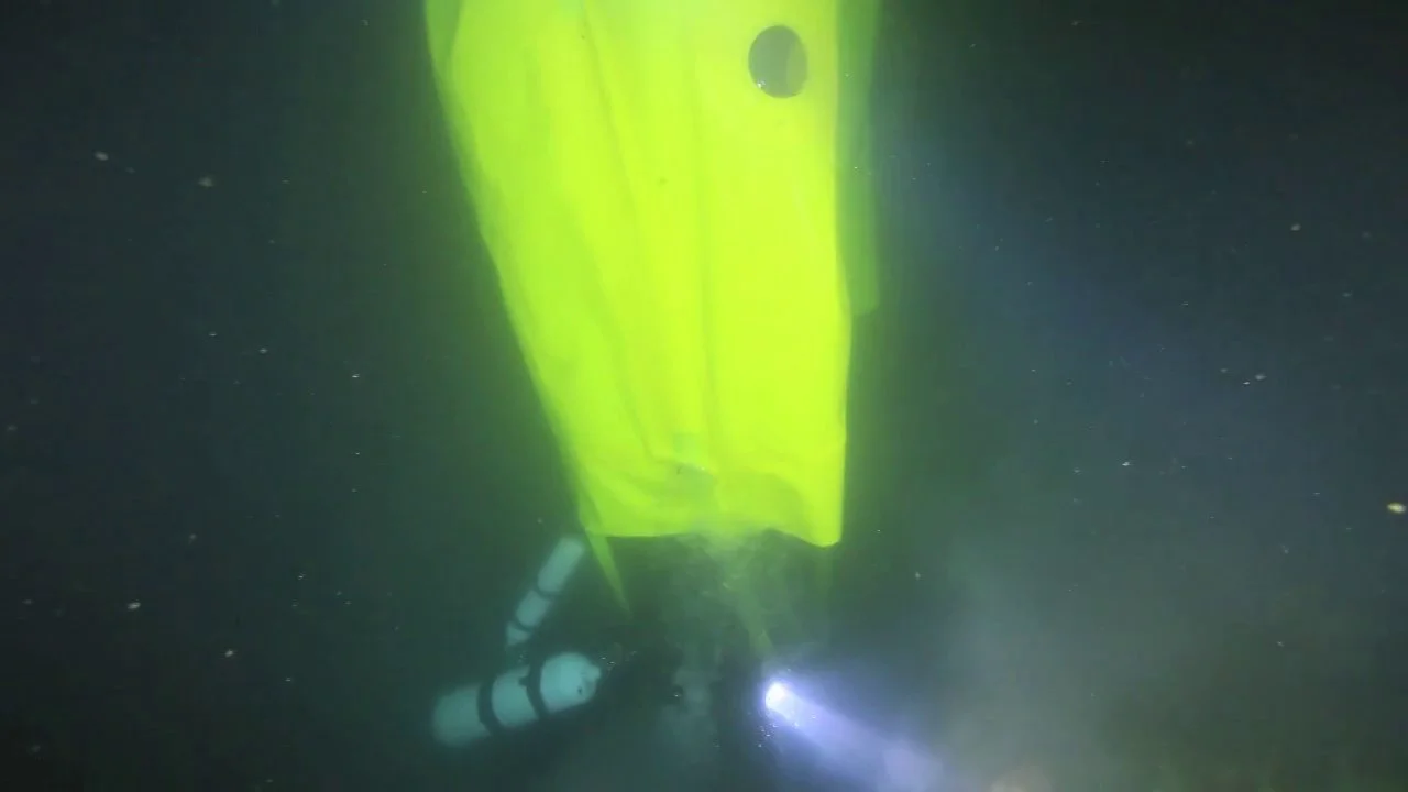 Phantom Spring Habitat Dec 2013