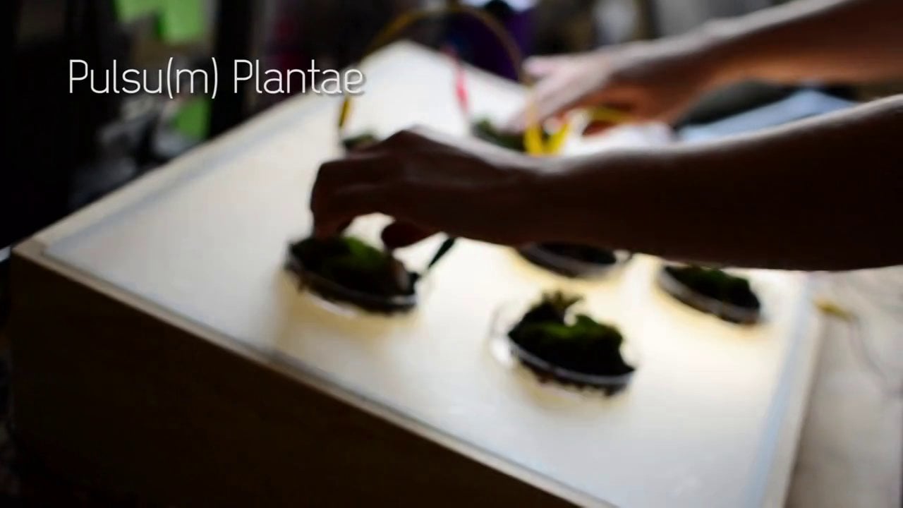 Pulsum Live Setup on Vimeo