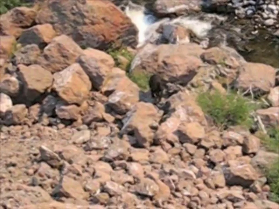 Little Venus Fire on Vimeo