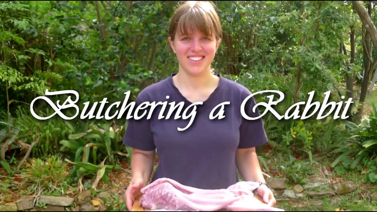 Butchering my First Rabbit on Vimeo
