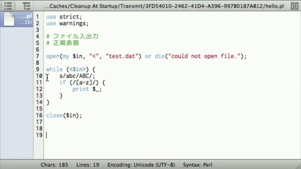 #17 正規表現を使ってみよう | Perl入門 - プログラミングならドットインストール