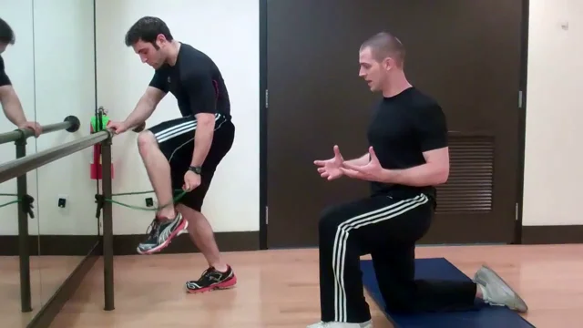 Vmo Strengthening Exercises