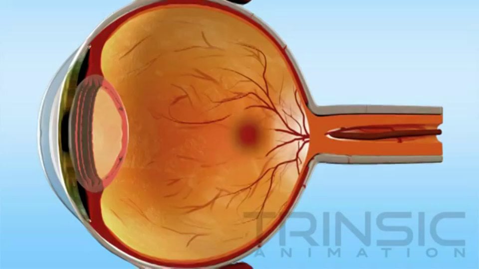 Eye Medical Animation Reel Trinsic Animation on Vimeo