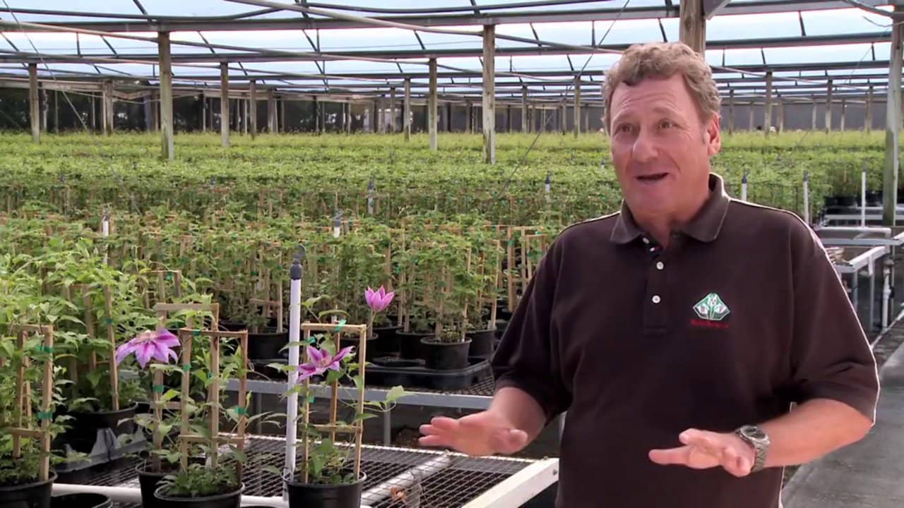 uBloom – America's Flowers on Vimeo