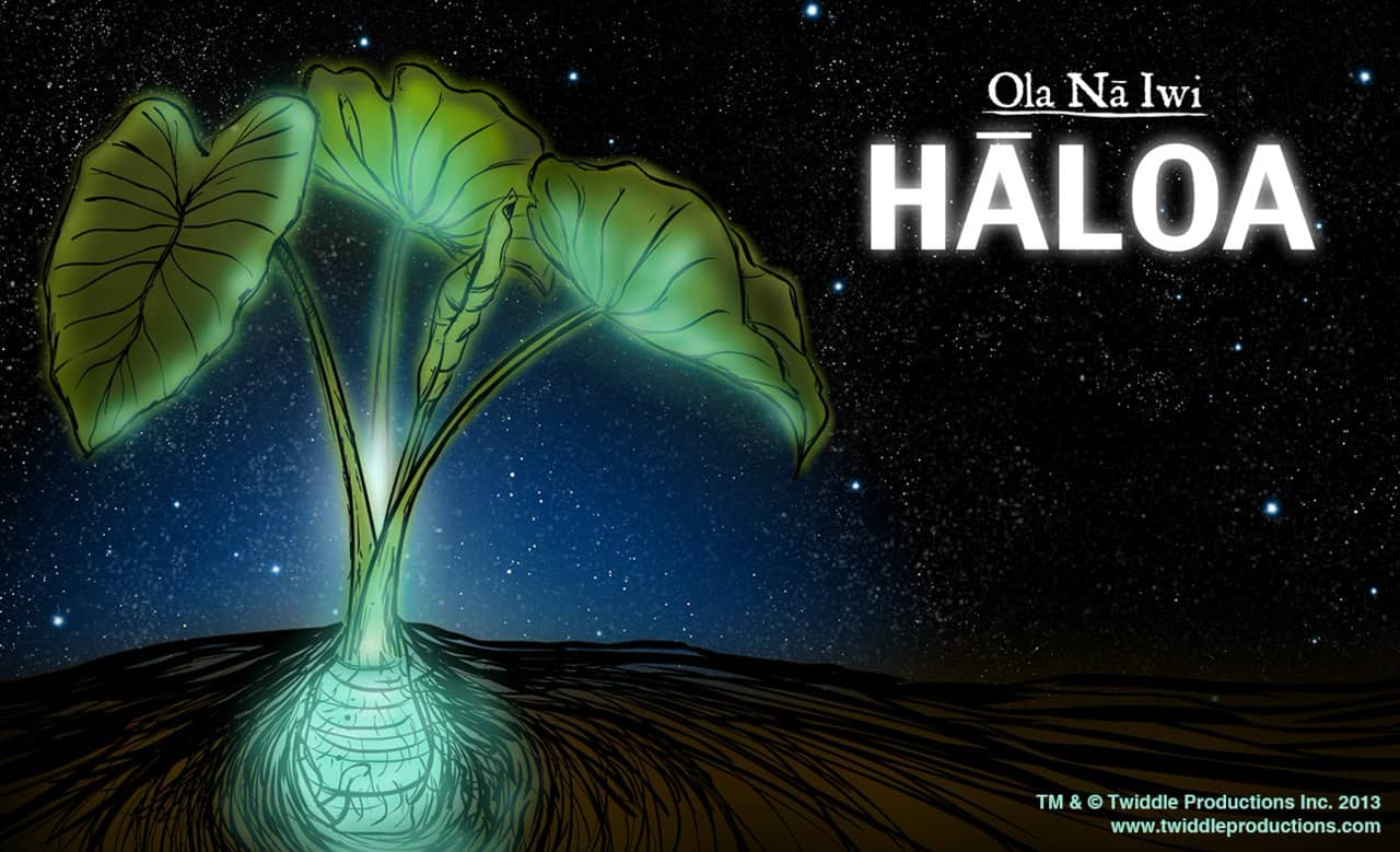 Ola Nā Iwi: Hāloa on Vimeo