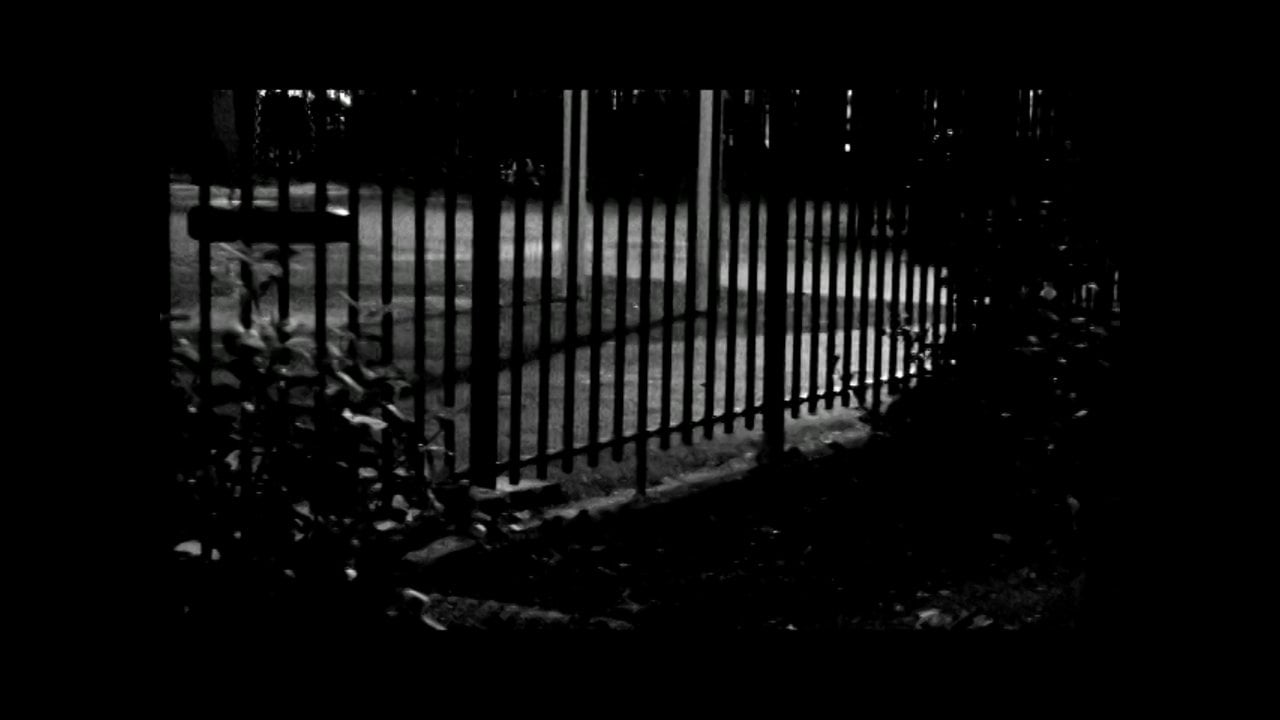 Films – Simon Lund Photo