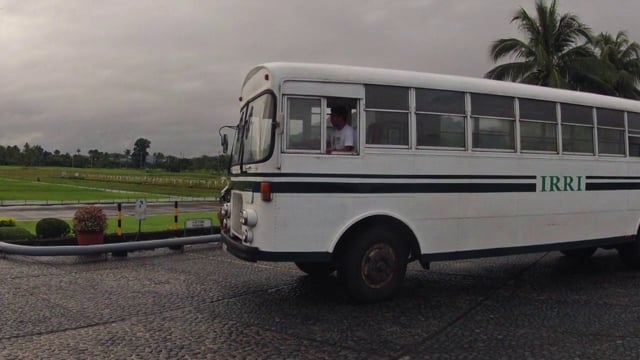 International Rice Research Institute • IRRI • Los Baños, Philippines ...