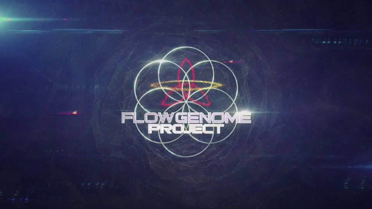 Flow Genome Project - The Documentary on Vimeo