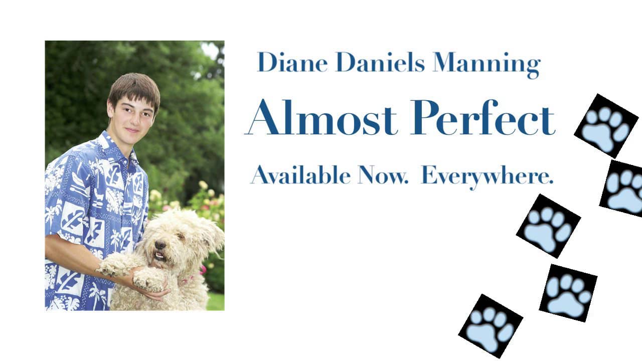 Almost Perfect Trailer V1-2 on Vimeo