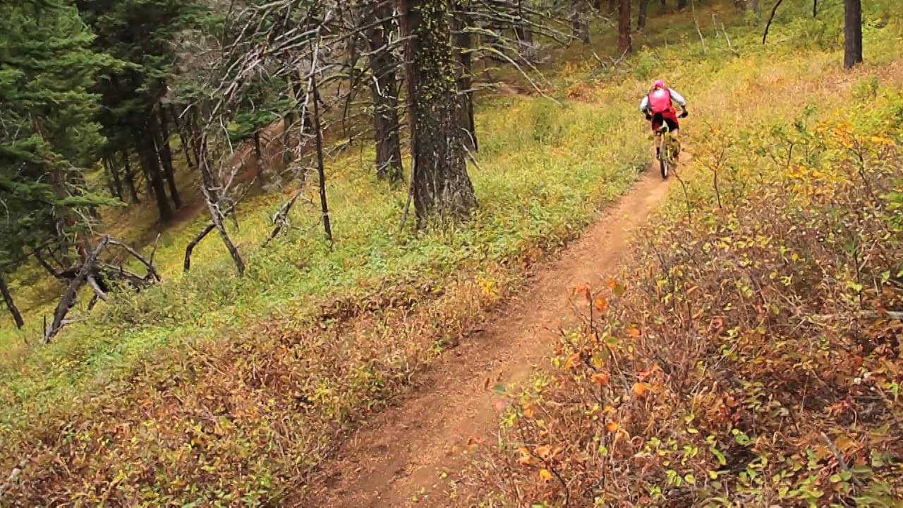 (un)official Team Yeti on Vimeo