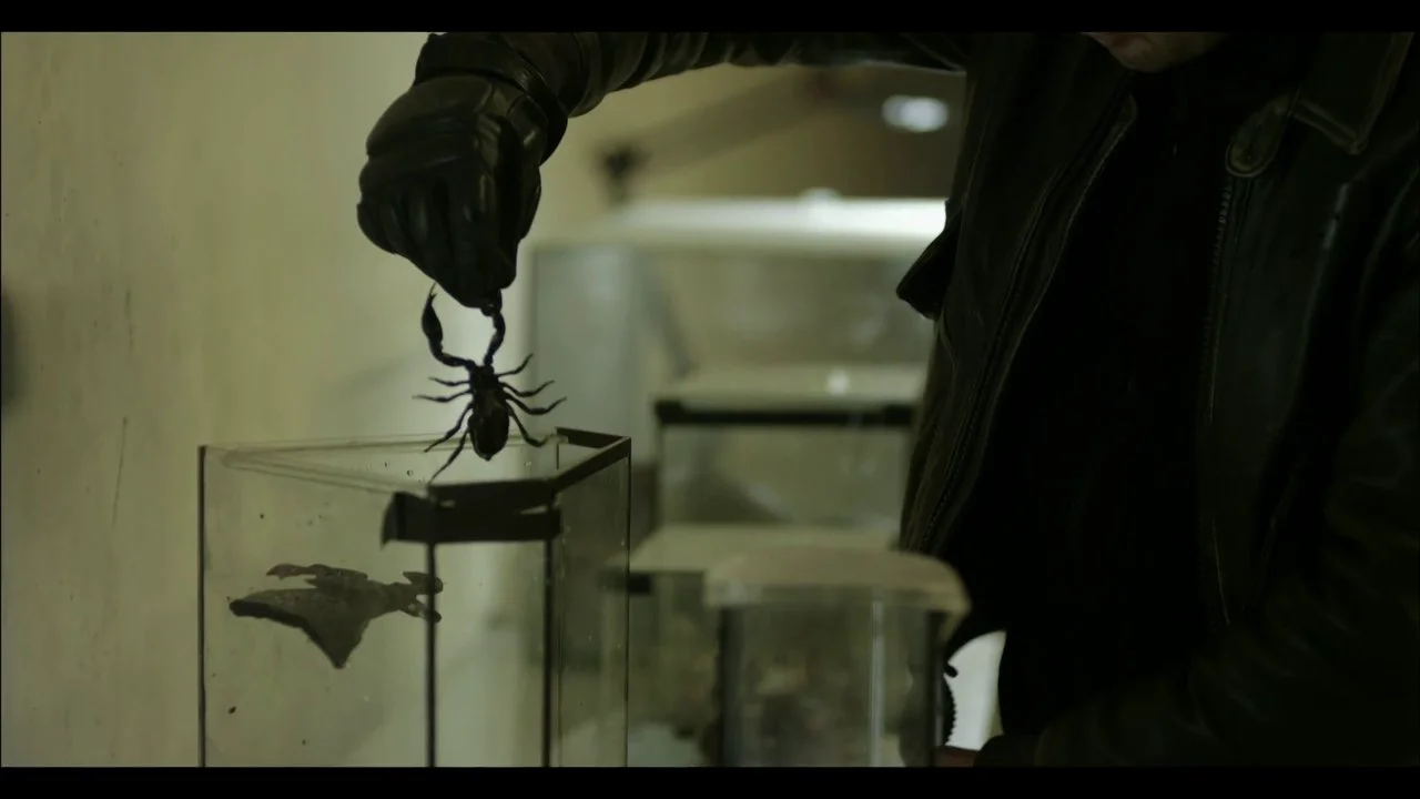 Flint Redemption Trailer on Vimeo