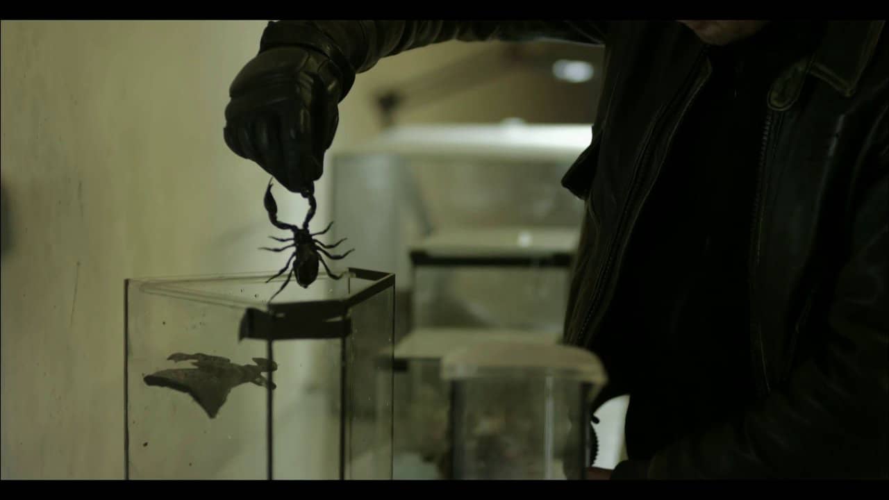 Flint Redemption Trailer on Vimeo