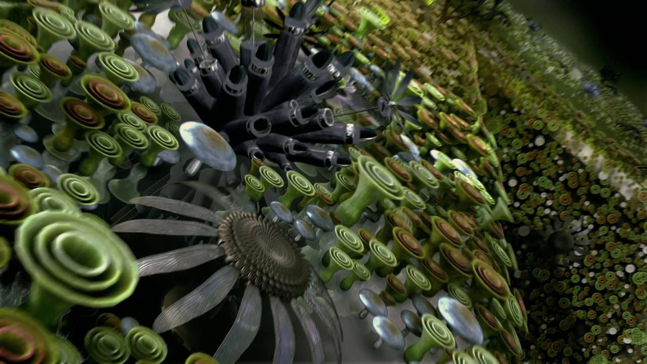 THX - Amazing Life (VIDEO 2) on Vimeo