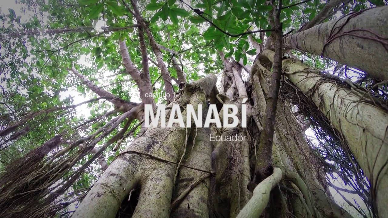 Capítulo 1: MANABÍ on Vimeo