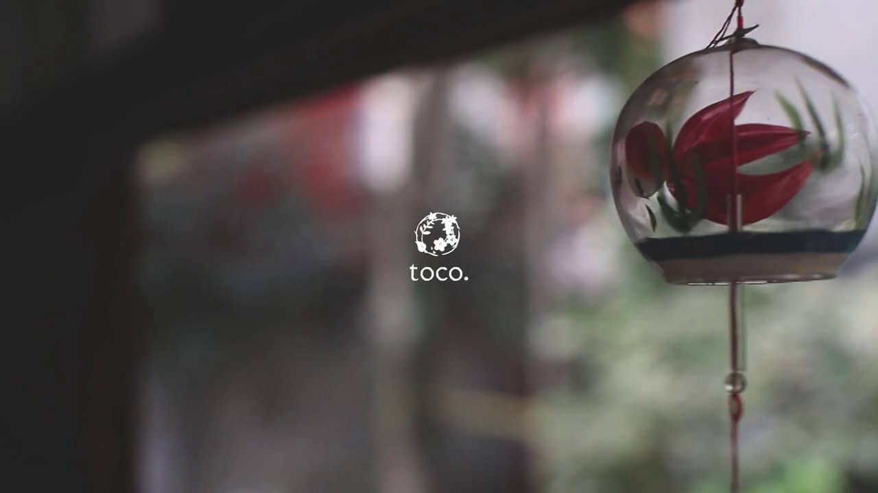 toco. Movie - "daily lives of toco." on Vimeo