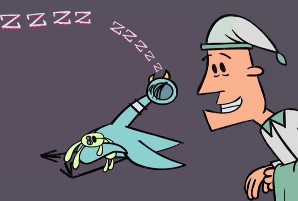 Excerpt from "Don't Let the Pigeon Stay Up Late!" on Vimeo