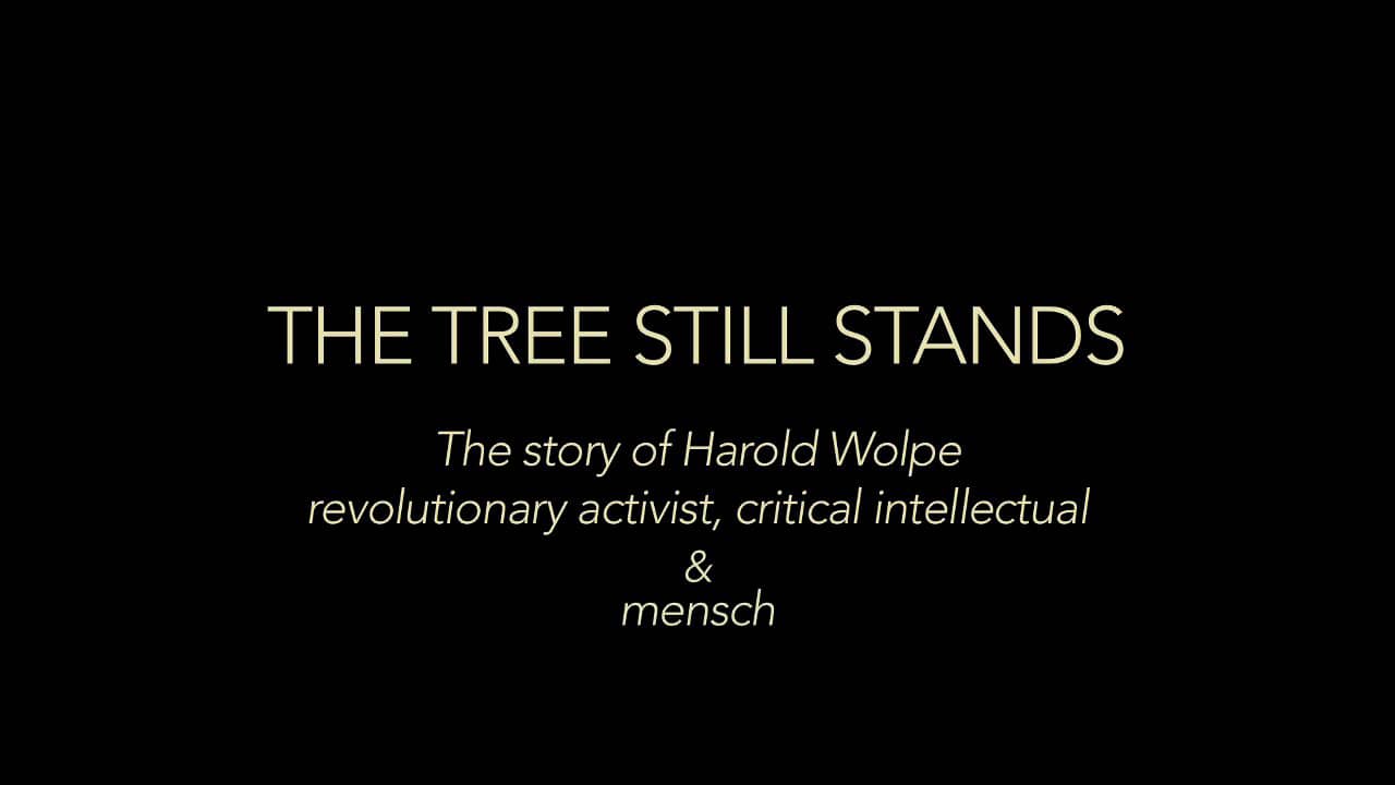 HAROLD WOLPE - The Tree Still Stands on Vimeo