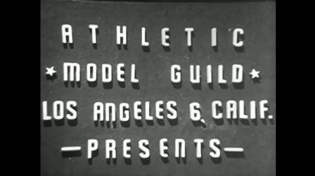 Athletic Model Guild Amg Logo