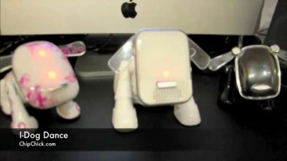 New i-Dog Dance on Vimeo