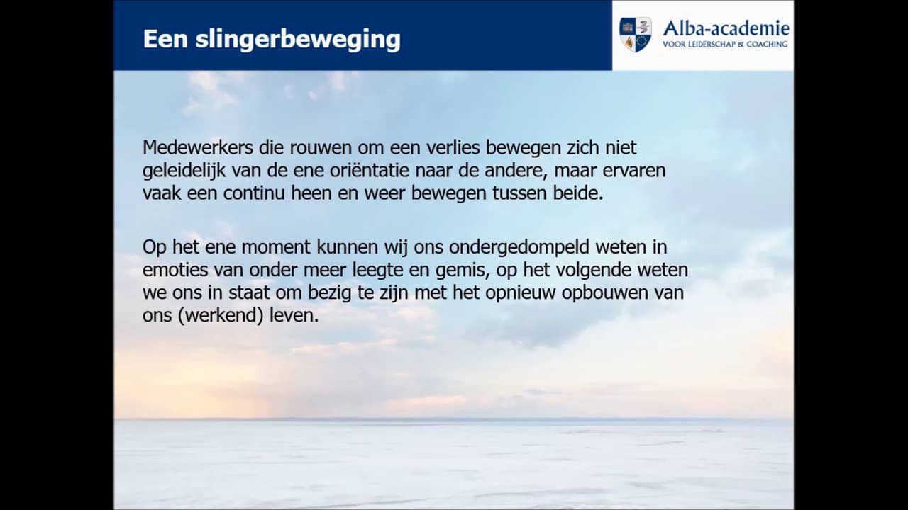 Alba-academie - Duaal Procesmodel on Vimeo