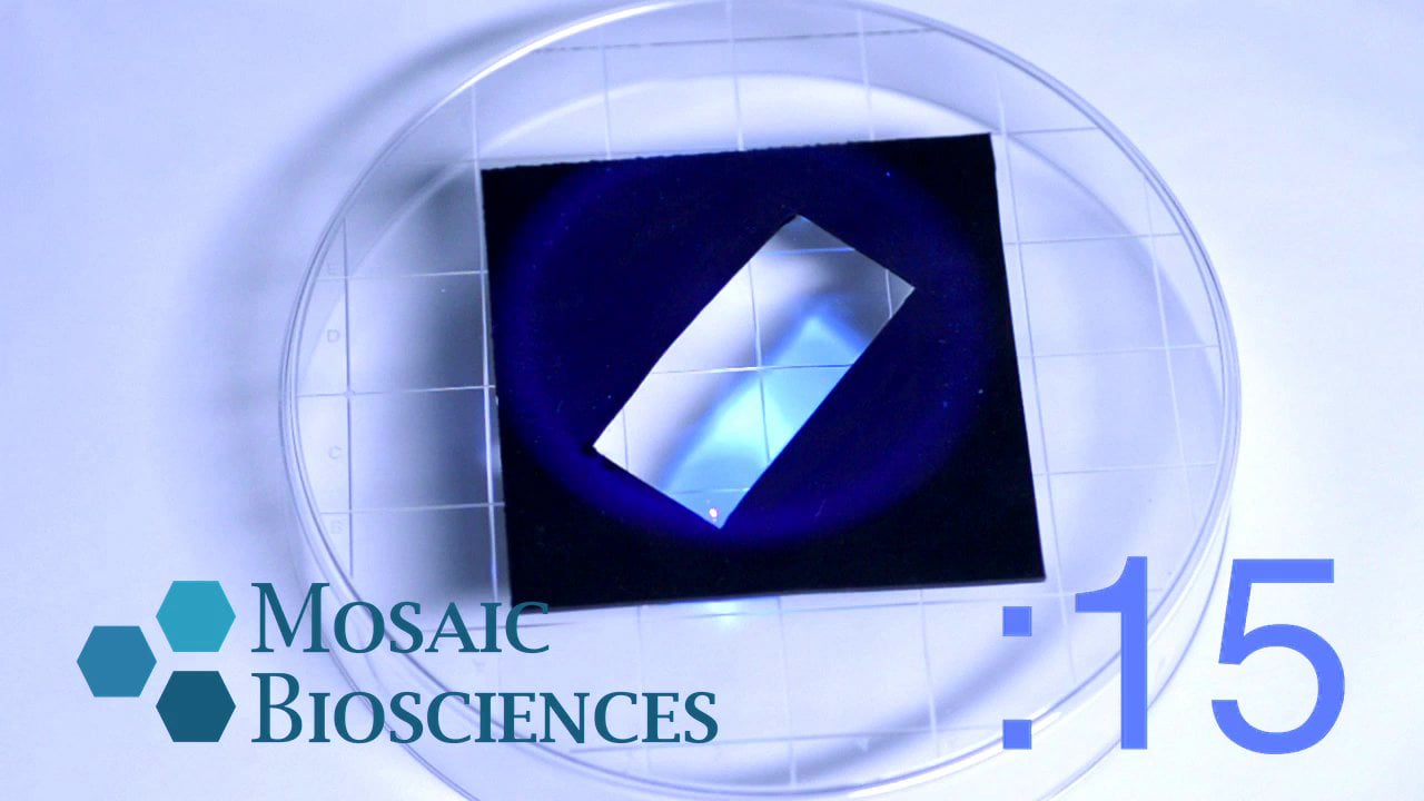Mosaic Biotech - Gel on Vimeo