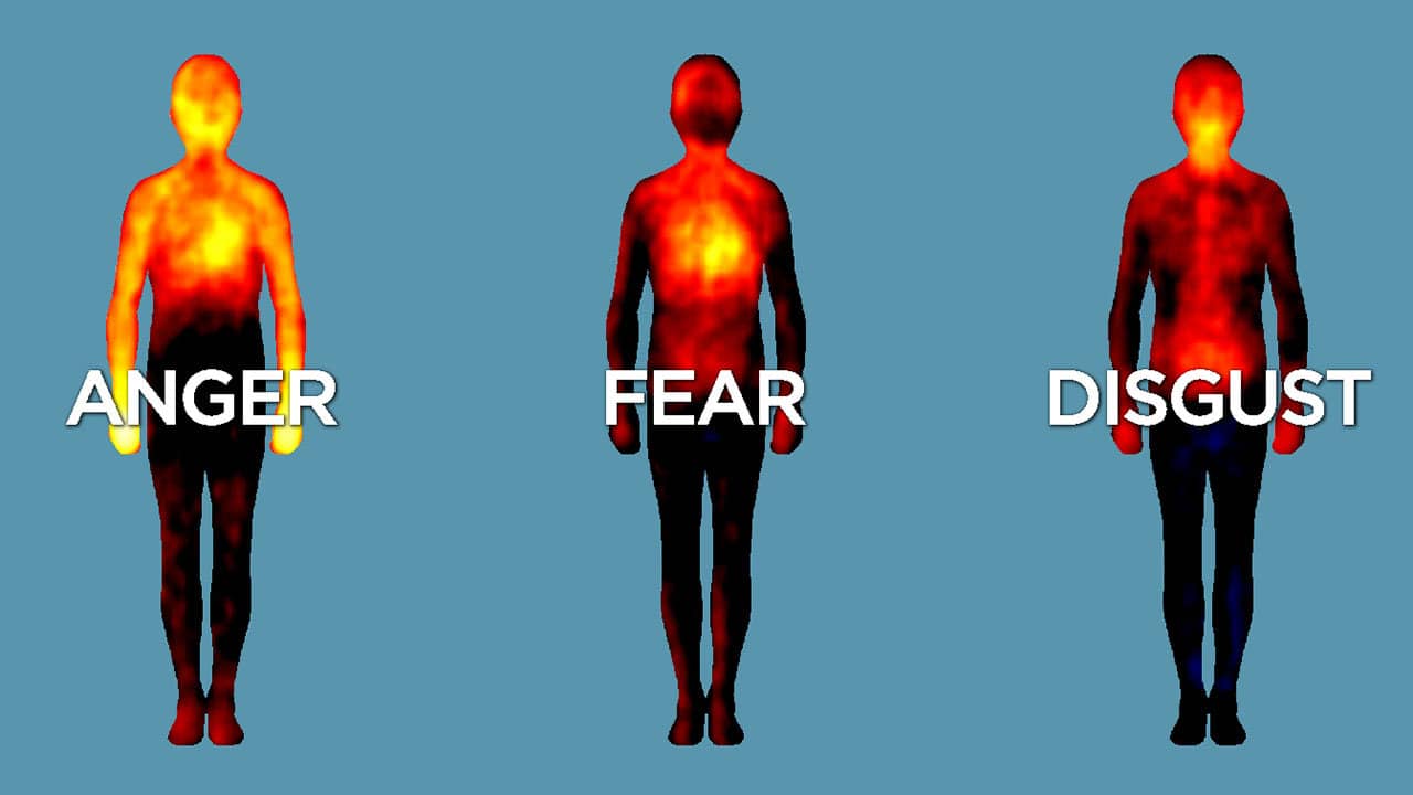 Science Bulletins: Mapping Emotions in the Body on Vimeo