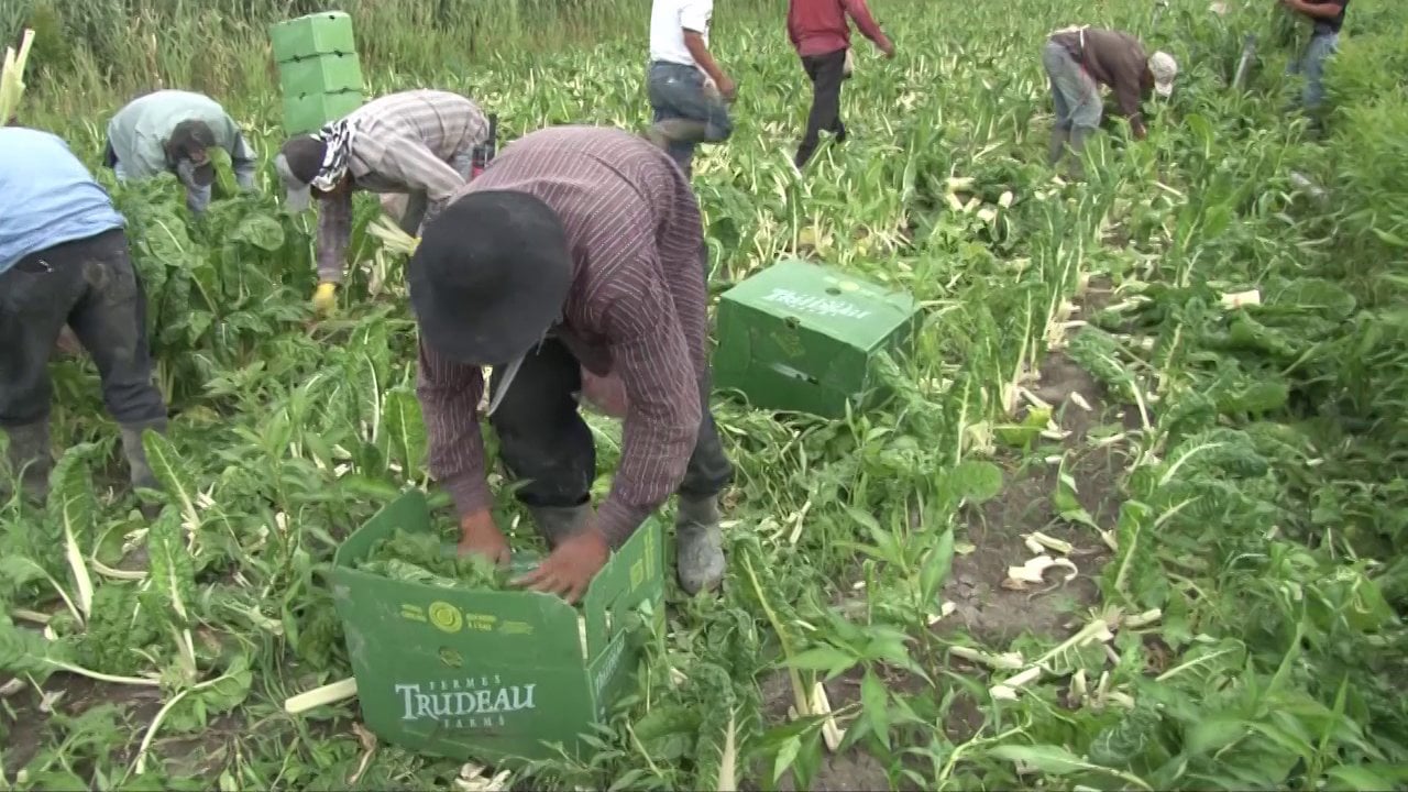 La Ferme Trudeau on Vimeo