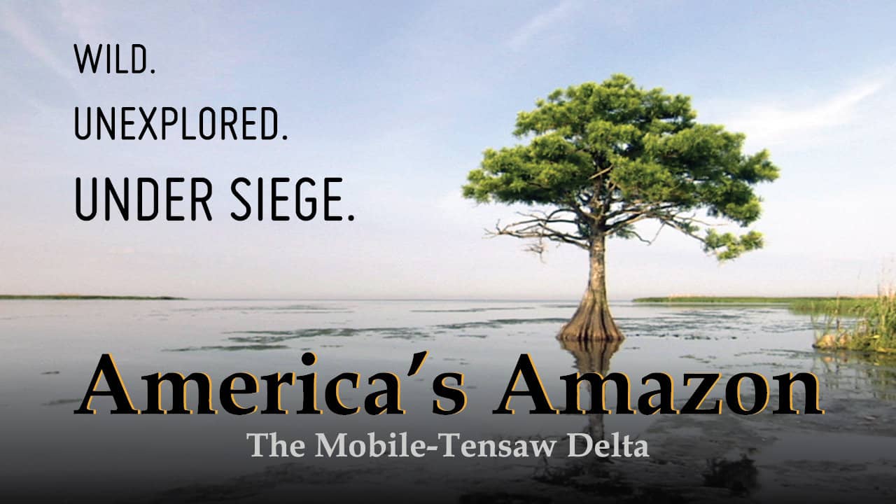 Alabama Nature Partners presents: America's Amazon (trailer) on Vimeo