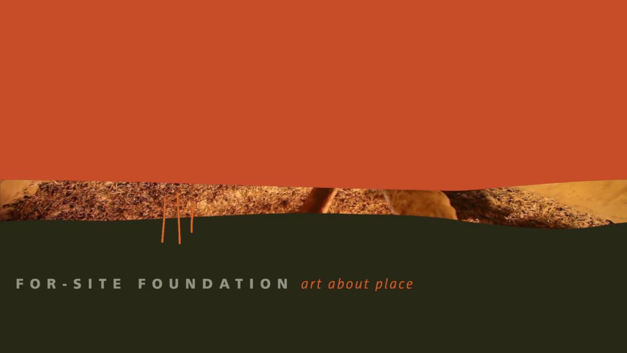 Andy Goldsworthy: Tree Fall on Vimeo