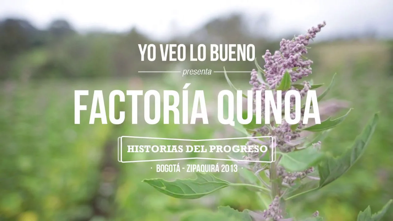 Factoria Quinoa on Vimeo