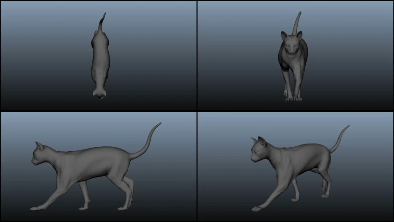 cat walkcycle on Vimeo