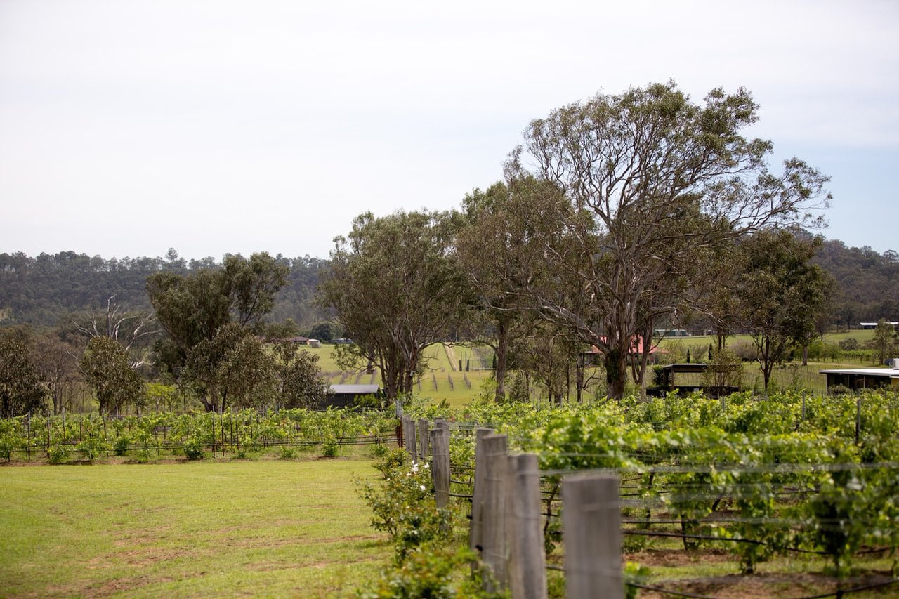 Bluebush Estate on Vimeo