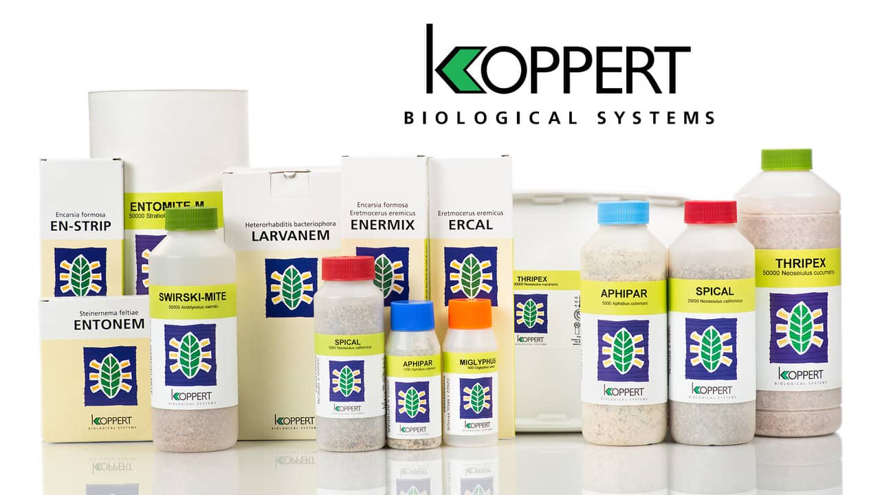 Koppert Biological Systems - Quality Control Standards on Vimeo